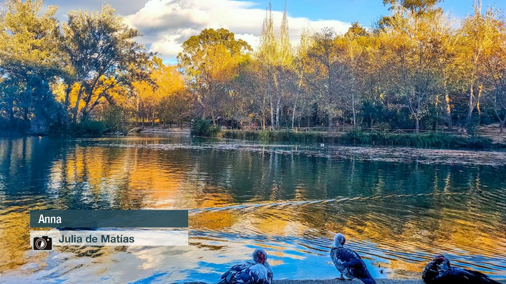 No acaba d'anar-se'n - Oratgenet